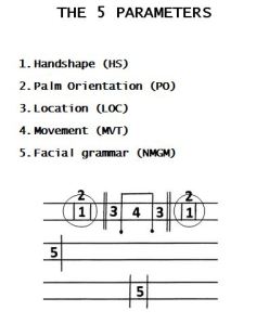 SIGNOTATION – HOW TO WRITE SIGN LANGUAGES ON PAPER!
